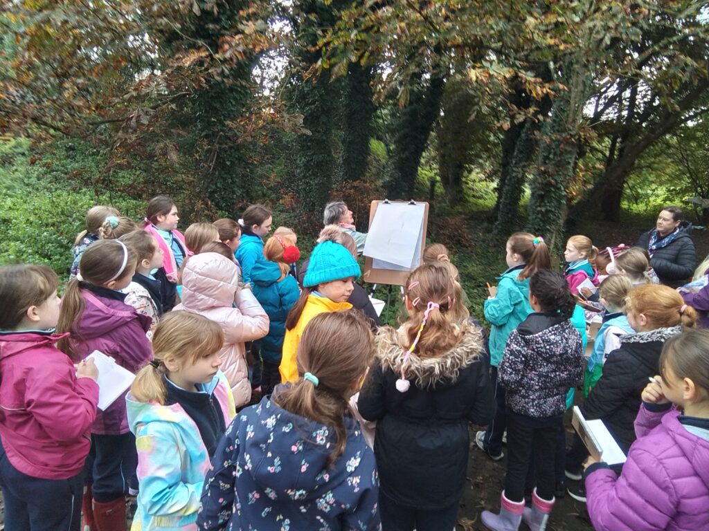 Creative Rathangan – Bunscoil Bhríde