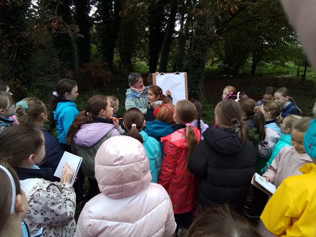 Creative Rathangan – Bunscoil Bhríde