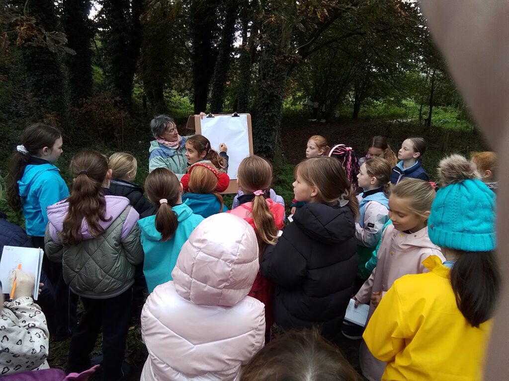 Creative Rathangan – Bunscoil Bhríde