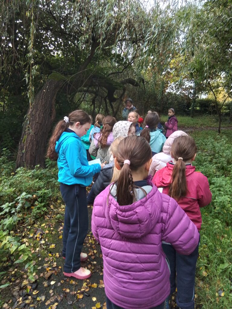 Creative Rathangan – Bunscoil Bhríde