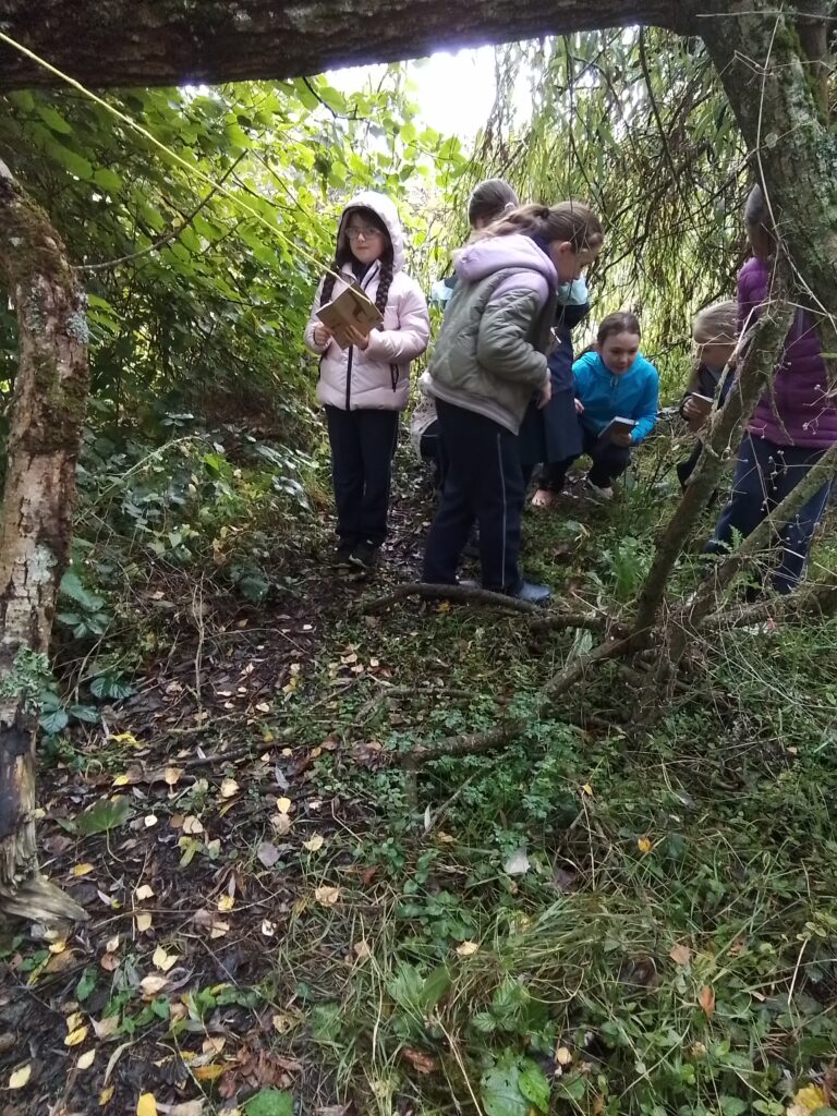 Creative Rathangan – Bunscoil Bhríde