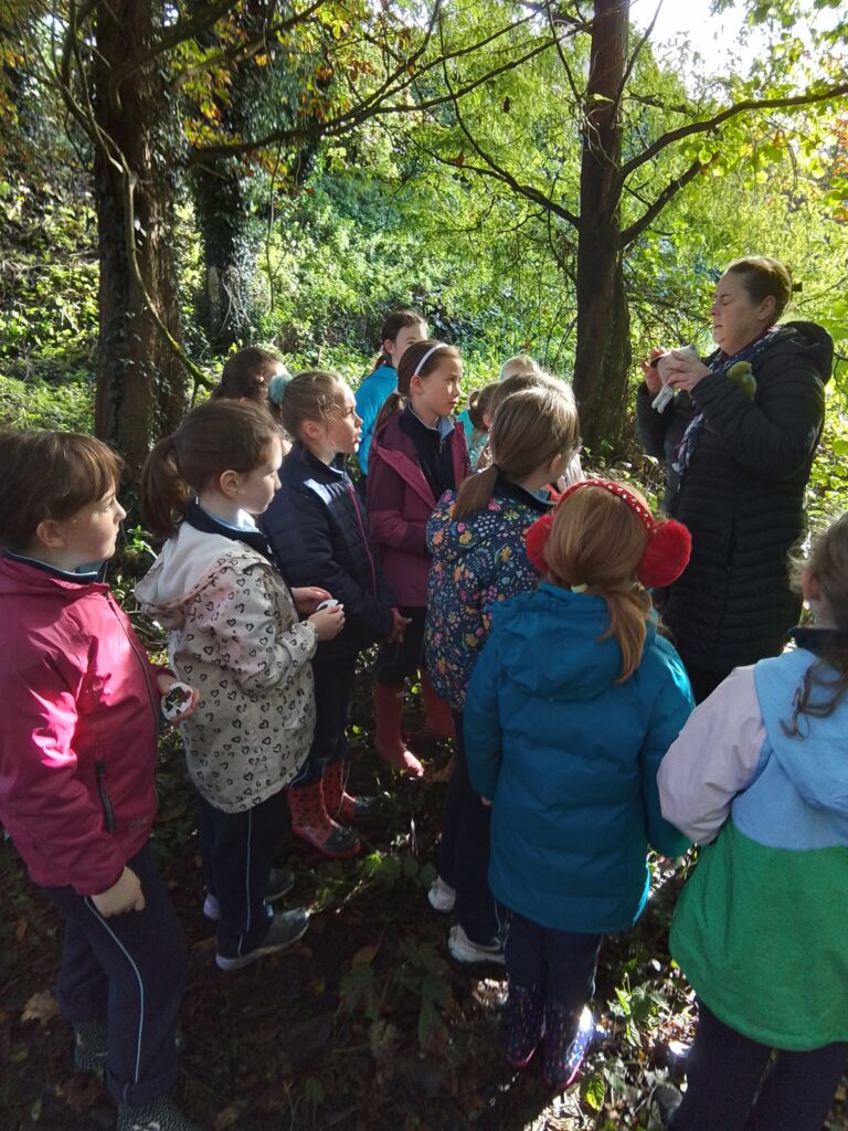 Creative Rathangan – Bunscoil Bhríde